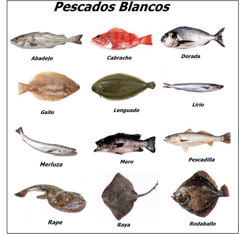 Cómo hacer pescado blanco en salsa de ajo y perejil