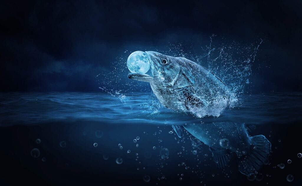 Deliciosa y Nutritiva Merlangius merlangus - Pescaycocina